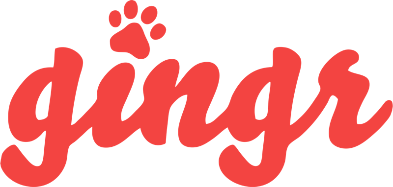 Gingr Secure File Upload